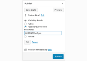 How to Make a Password Protected Form in WordPress (Step by Step)