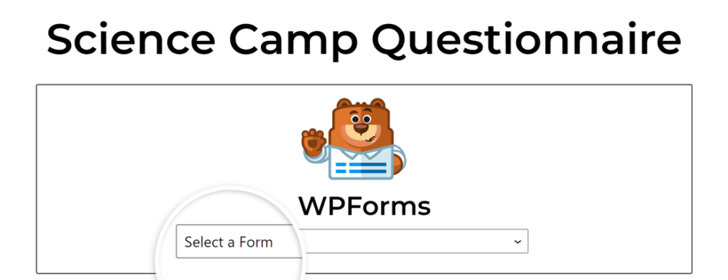 Comment passer de Ninja Forms à WPForms