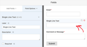 How to Limit Form Fields With Input Masks (+Examples)
