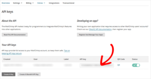 How to Create a Mailchimp Subscribe Form in WordPress
