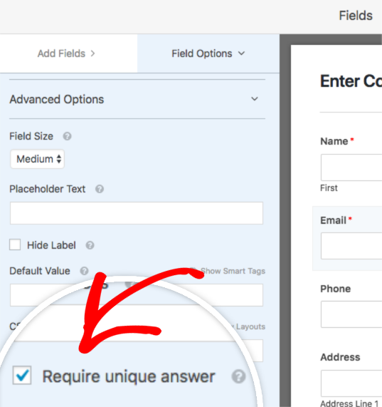 How to Install and Use the Form Locker Addon in WPForms
