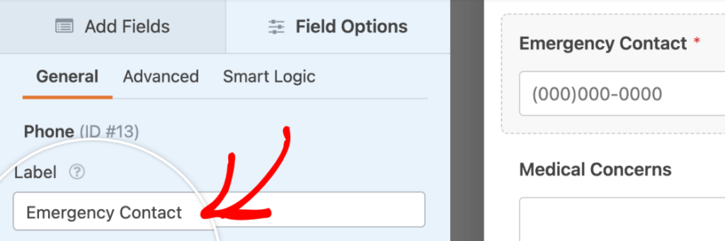 How to Customize Form Field Options