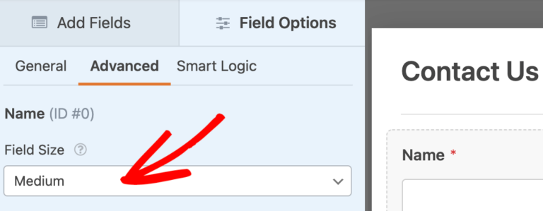 How to Customize Form Field Options