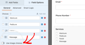 How to Customize Form Field Options