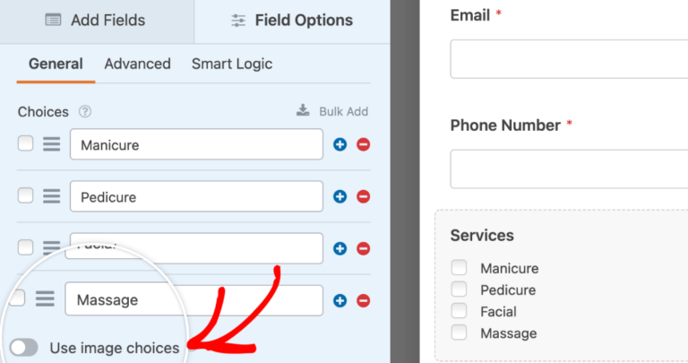 How to Customize Form Field Options