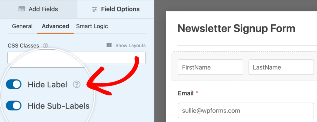 How to Customize Form Field Options