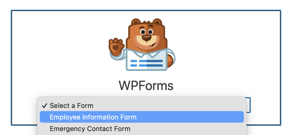 How to Create an Employee Information Form in WordPress