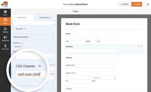 How to Limit Range Allowed in Numbers Field on WPForms