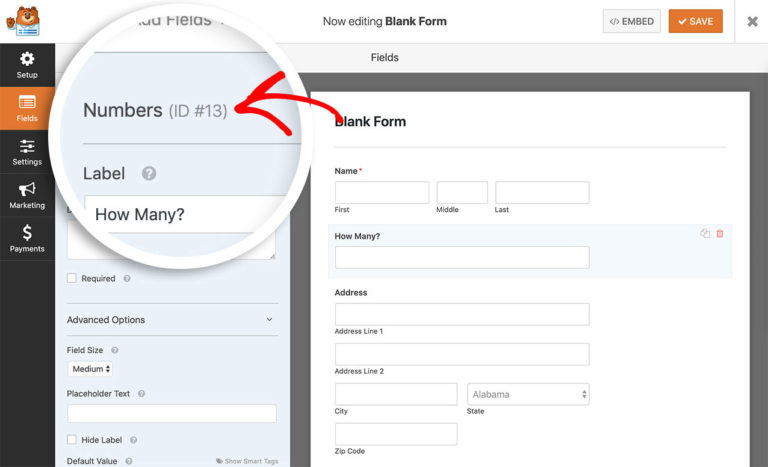 How to Locate Form ID and Field ID