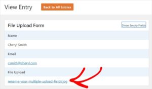 How to Create a File Upload Form in WordPress [Full Guide]