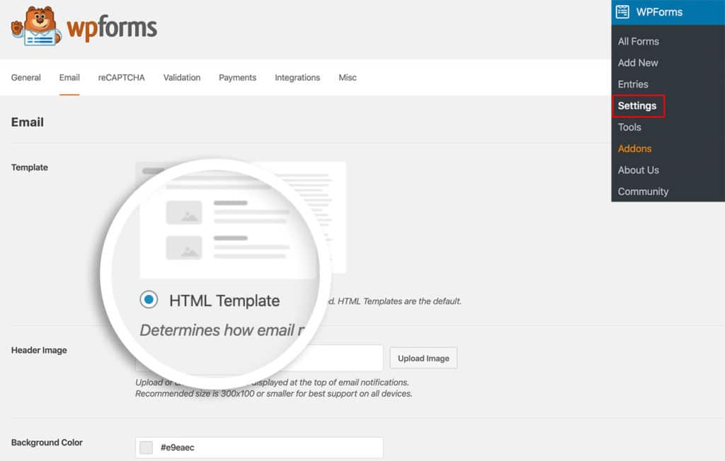 Include Page Break, Section Divider, and HTML Fields in Notifications