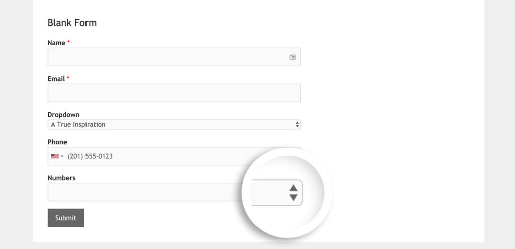 How To Remove The Arrows On The Numbers Field In Wpforms