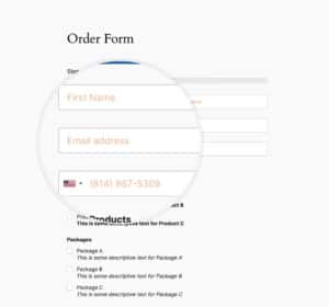 How to Style Placeholder Text for Form Fields with CSS
