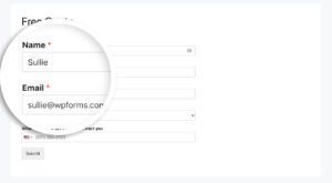 Using Query Strings to Pre-Populate Form Fields