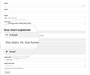 How to Display Shortcodes Inside the HTML Field