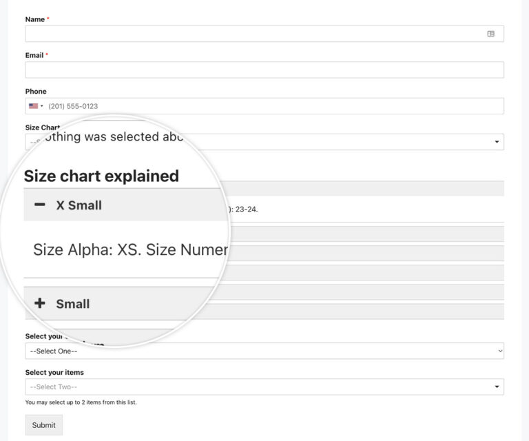 How to Display Shortcodes Inside the HTML Field