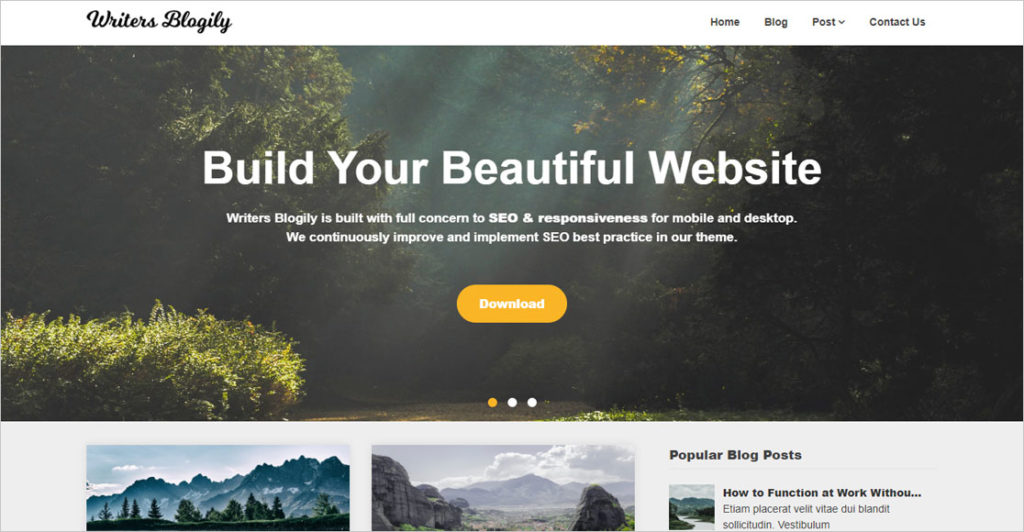 21 Best WordPress Themes for Authors and Writers