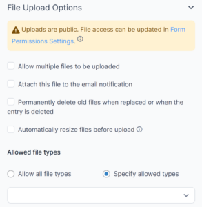 I Tested 20+ Plugins - These 8 Are Best for File Uploads!