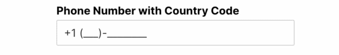 How To Use Custom Input Masks In Wpforms