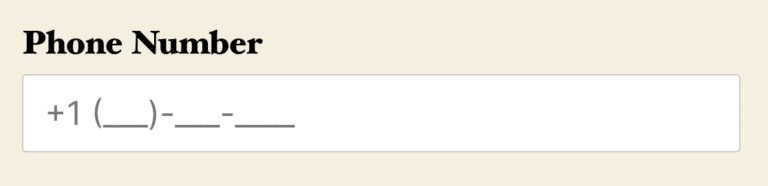 How to Use Custom Input Masks in WPForms