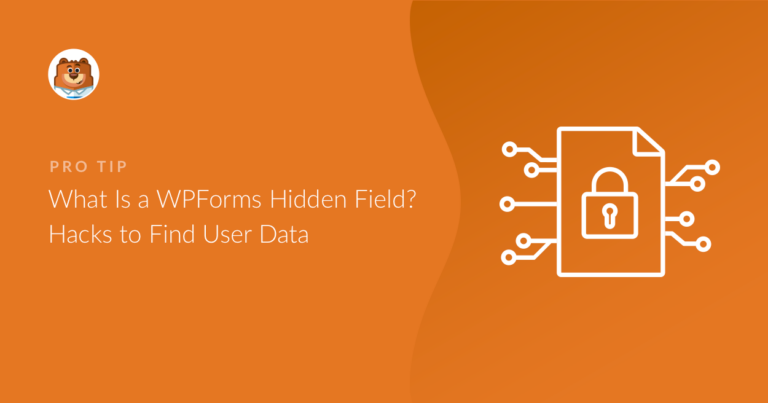 What Is A Wpforms Hidden Field 7 Hacks To Find Hidden User Data