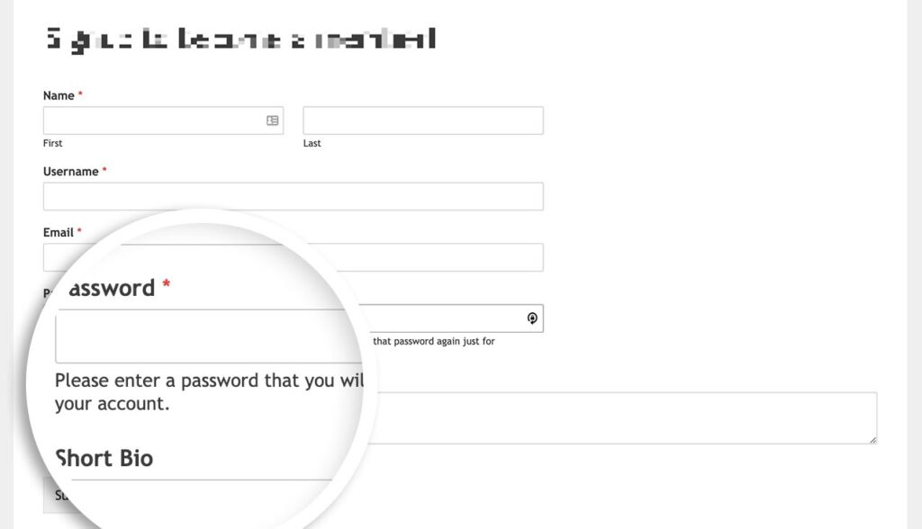 How to Change the Password Field Sublabels