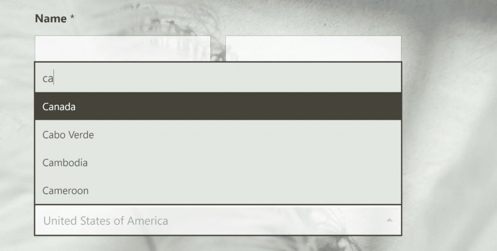 How to Add a Country Dropdown List to Your Form (In 1 Click)