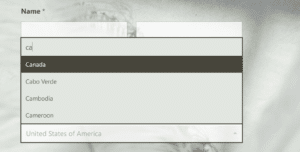 How to Add a Country Dropdown List to Your Form (In 1 Click)