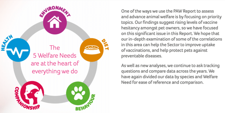 How to Create a Survey Results Report (+7 Examples to Steal)