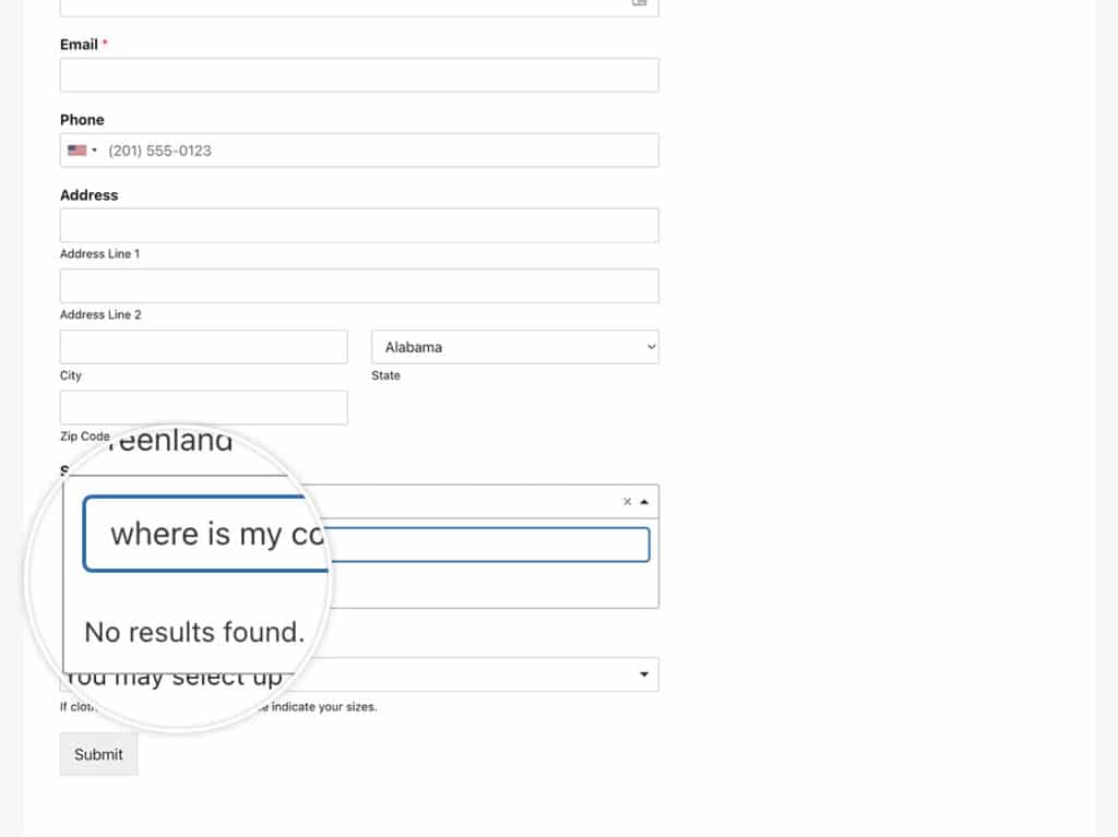 Changing the text in the Modern Dropdown form field