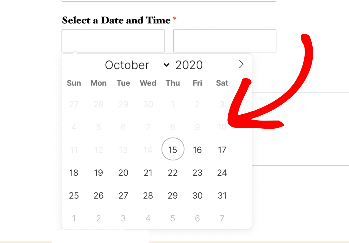 How to Limit Options for the Date / Time Field