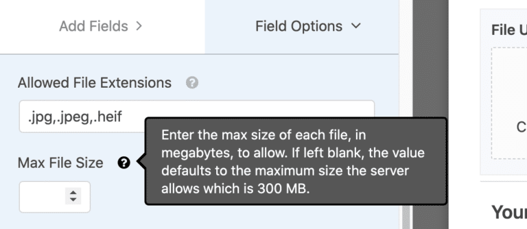 How to Fix 'Sorry, This File Type Is Not Permitted For Security Reasons'