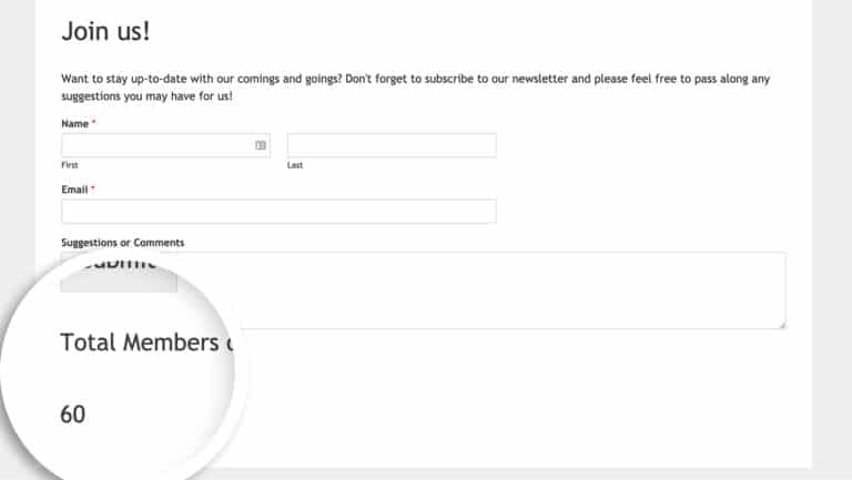 Displaying the Total Number of Entries