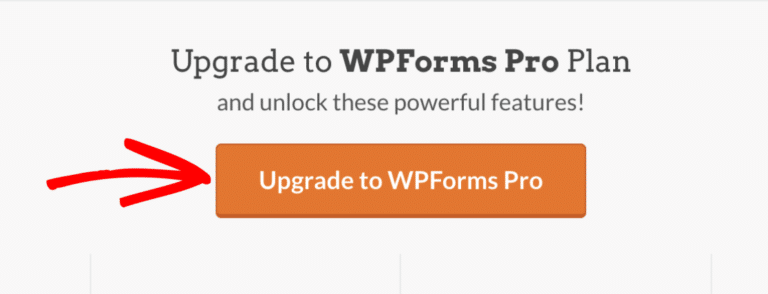 Where Does WPForms Data Go? [Beginner's Guide]