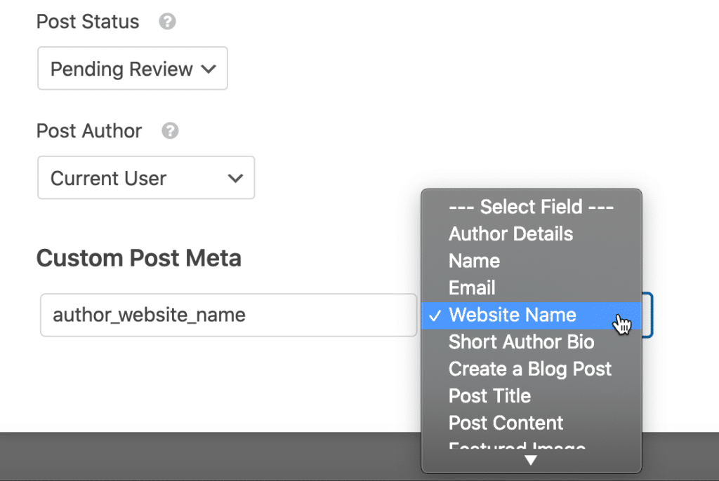 How to Display Custom Fields in Guest Posts [WordPress Tutorial
