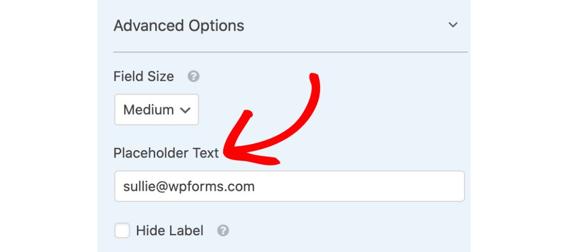 How to Add Extra Text and Descriptions to Forms