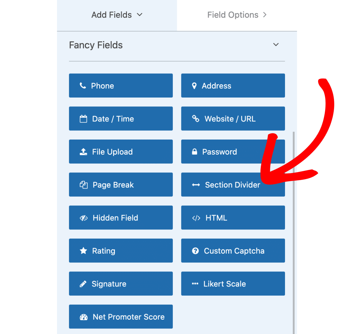How to Add Extra Text and Descriptions to Forms