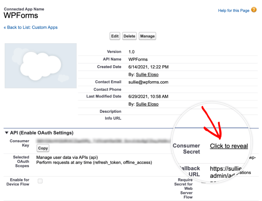 Salesforce Addon - WPForms