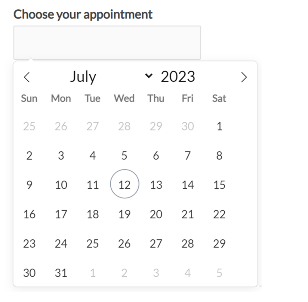 How to Customize the Date / Time Field in WPForms