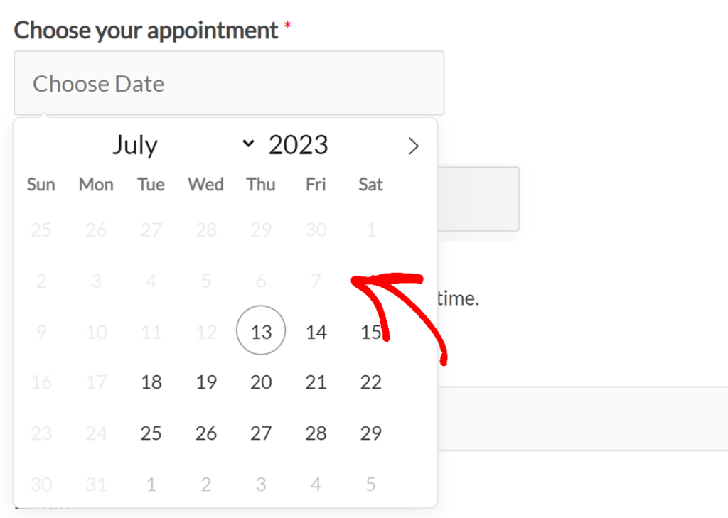 How to Customize the Date / Time Field in WPForms