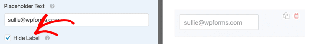 How to Add Placeholder Text to Your WordPress Forms