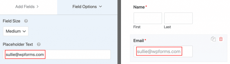 How to Add Placeholder Text to Your WordPress Forms