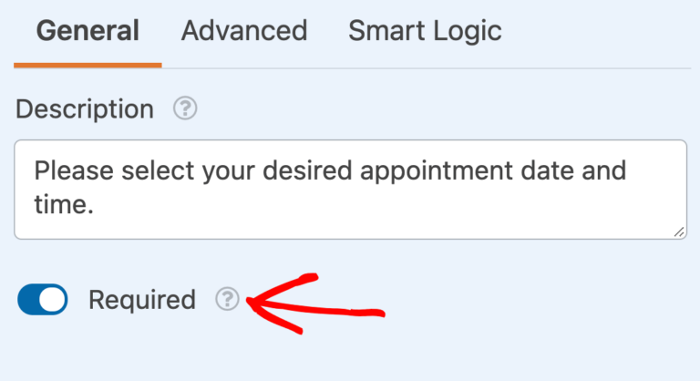 How to Customize the Date / Time Field in WPForms