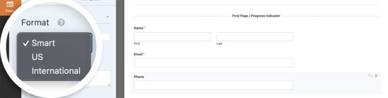 How to Provide Additional Phone Field Validation in WPForms