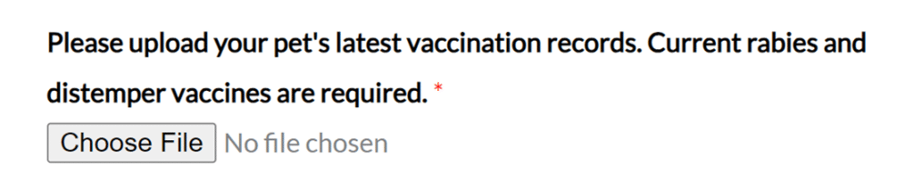 A Complete Guide to the WPForms File Upload Field
