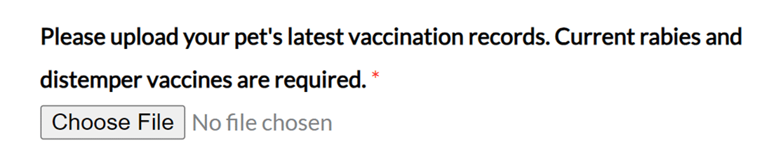 A Complete Guide to the WPForms File Upload Field