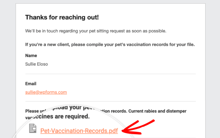 A Complete Guide To The Wpforms File Upload Field
