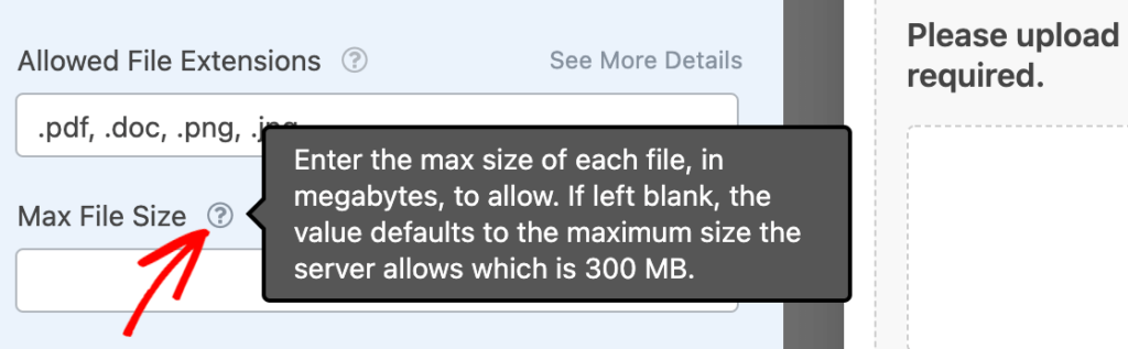 A Complete Guide to the WPForms File Upload Field