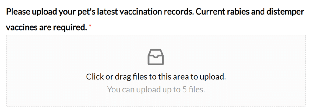 A Complete Guide to the WPForms File Upload Field