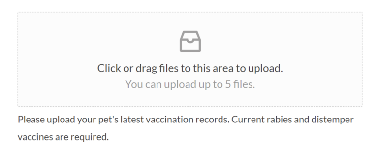 A Complete Guide to the WPForms File Upload Field